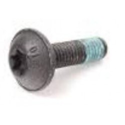 Audi - Armando Parts